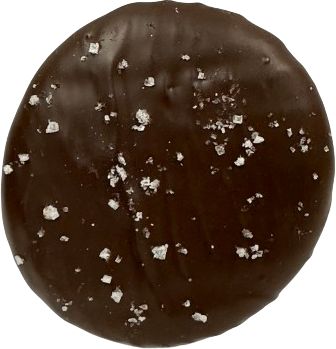 anDea Chocolate | Giant Milk Chocolate Sea Salt Caramel Patty - 22 ...
